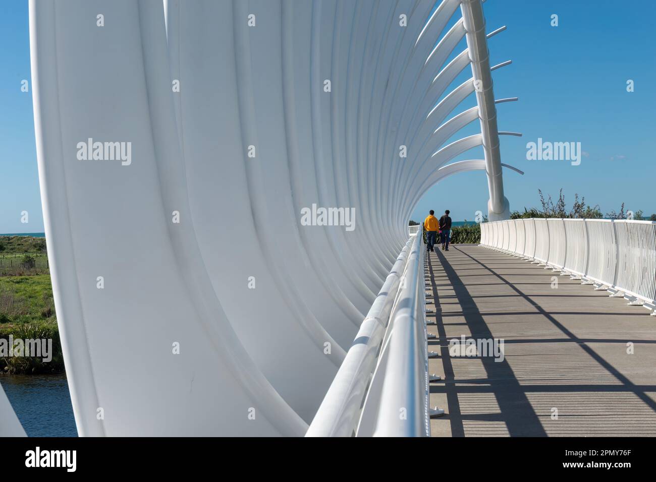 Rewa rewa hi-res stock photography and images - Alamy