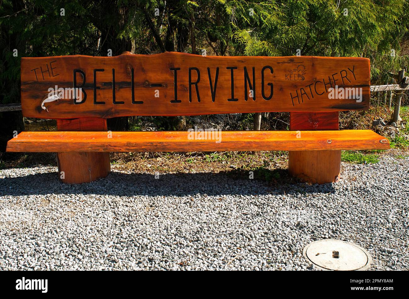 A solid wood bench, placed on a bed of gravel, with the Bell-Irving ...