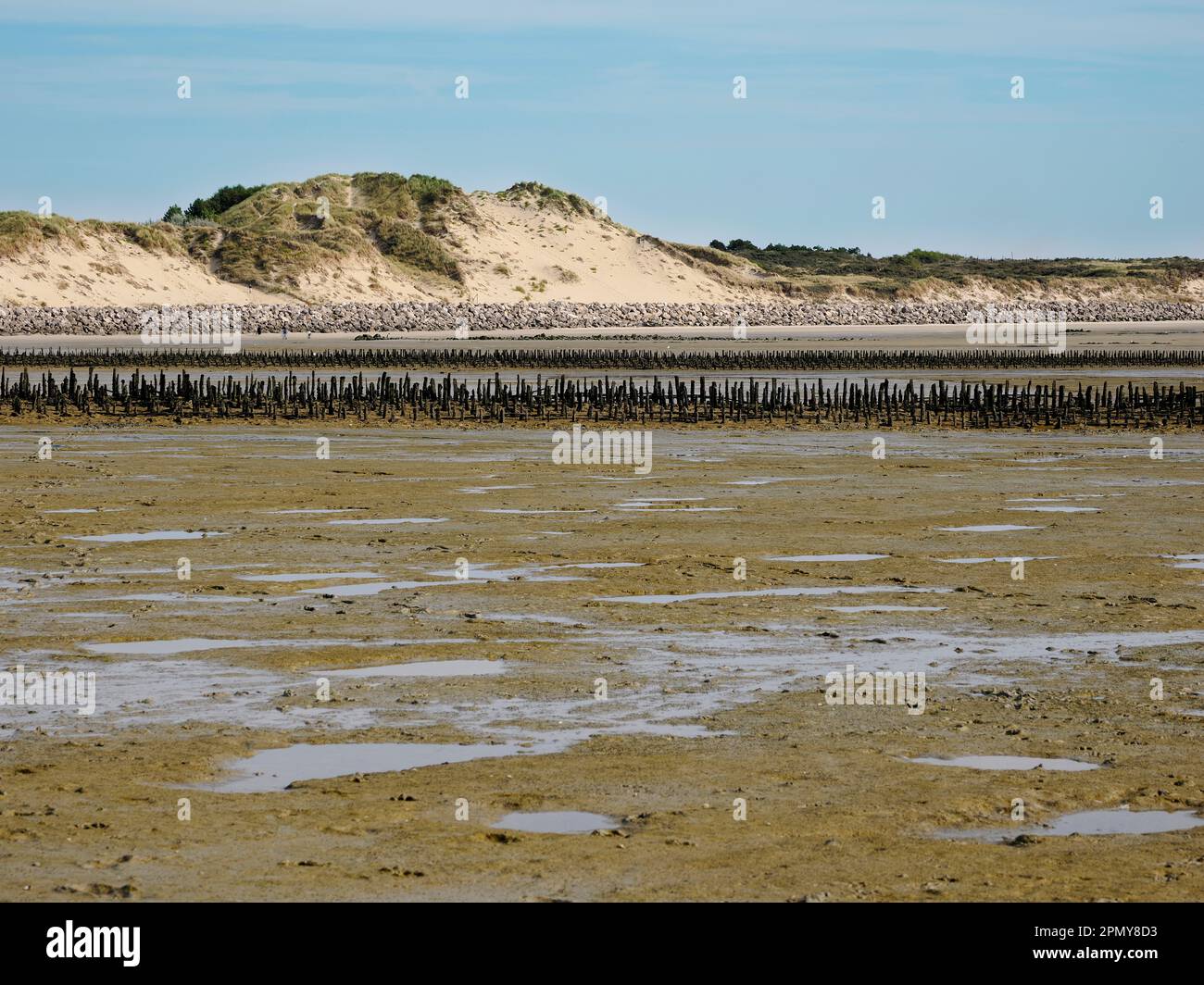 Authie Bay is a bay straddling the departments of Pas-de-Calais and ...