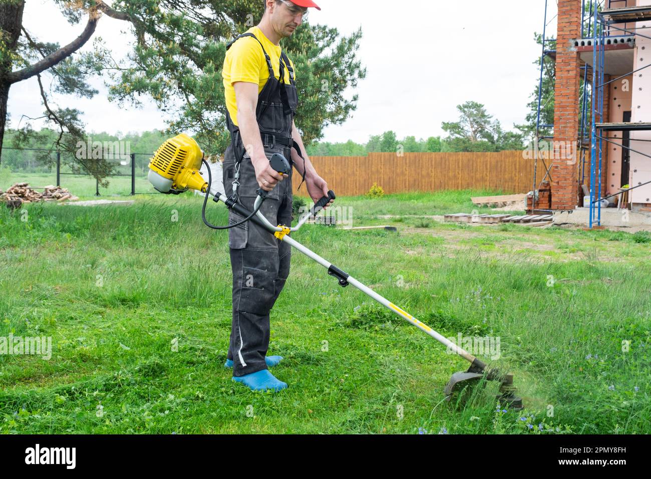 Male gardener mows the green grass of the lawn in the backyard at ...