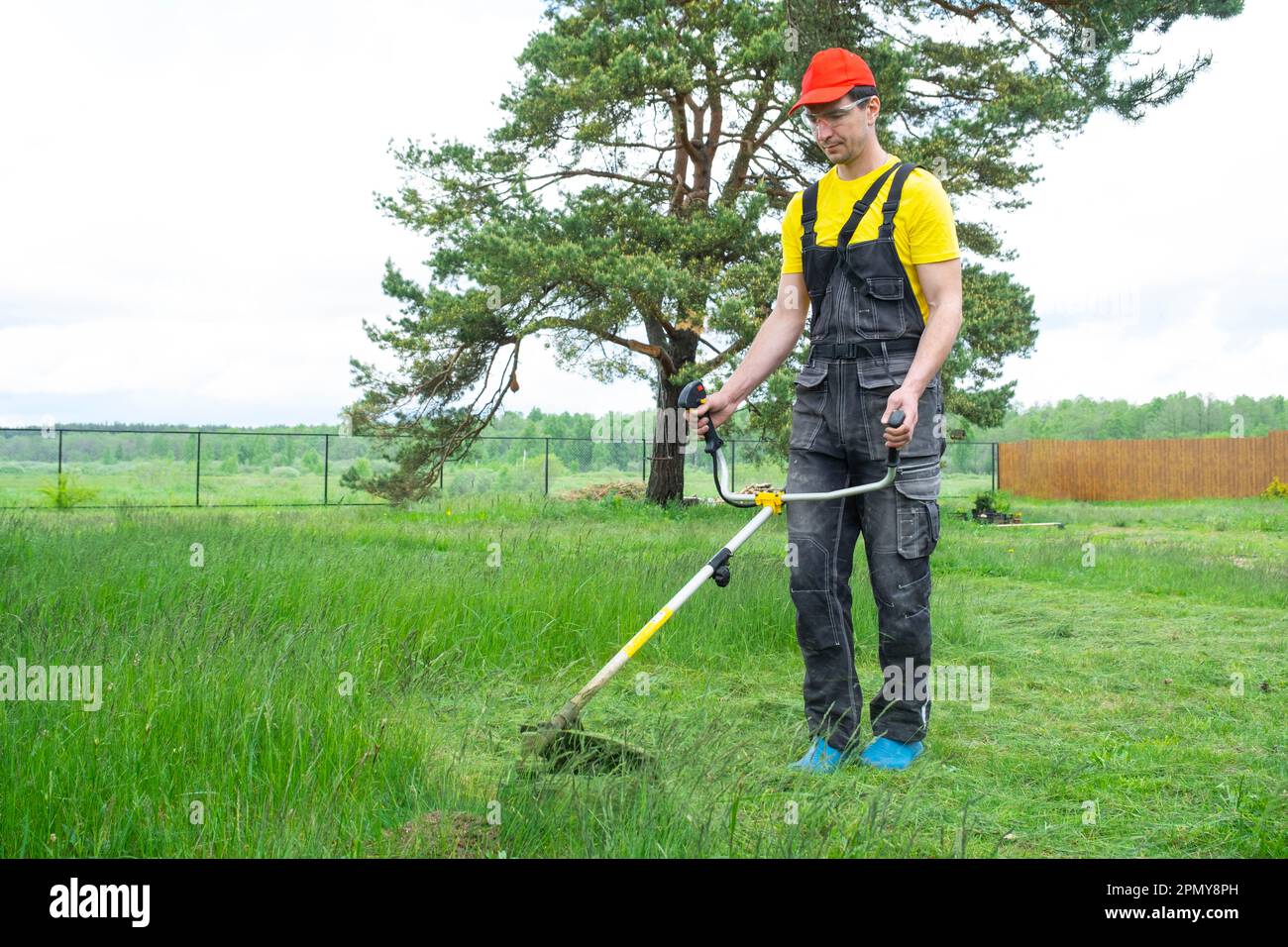 A male gardener mows the green grass of the lawn in the backyard with a ...