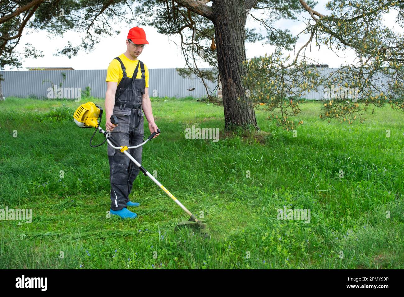 A male gardener mows the green grass of the lawn in the backyard with a ...