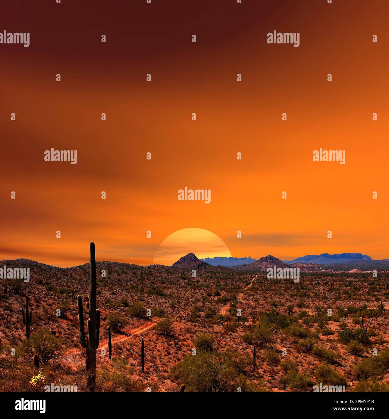 Sunset Sonora desert in central Arizona USA Stock Photo - Alamy