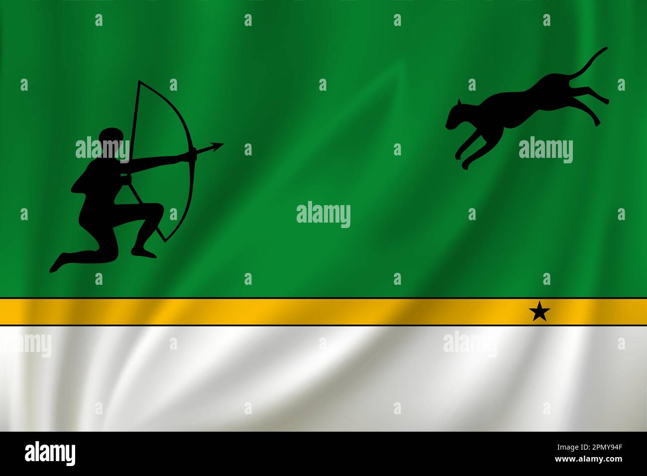 Flag of Amazonas waving in the wind on silk background. Department ...