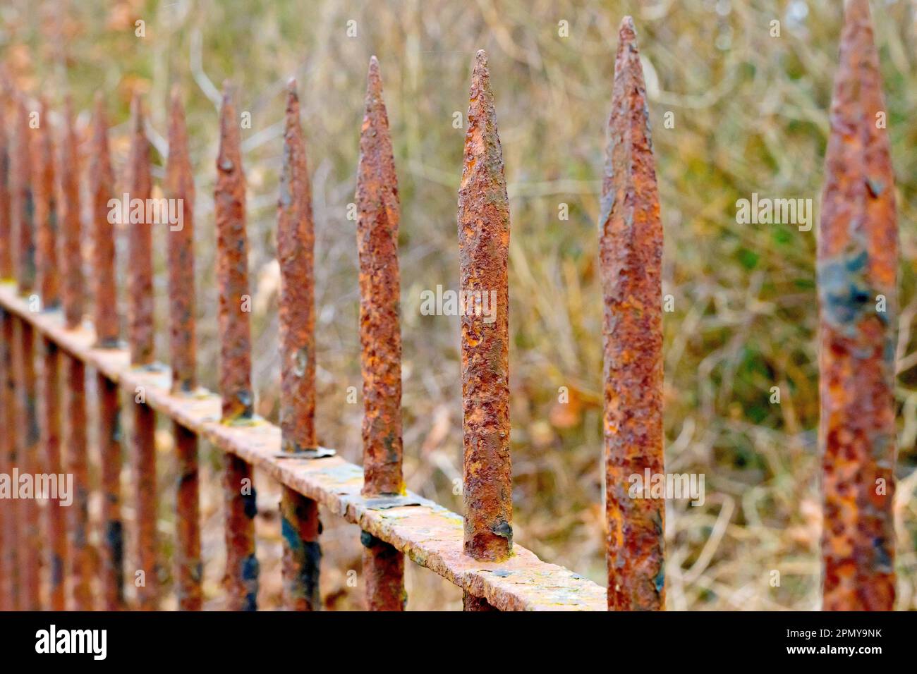 Close up of a pointed iron fence bordering a local park, once painted ...