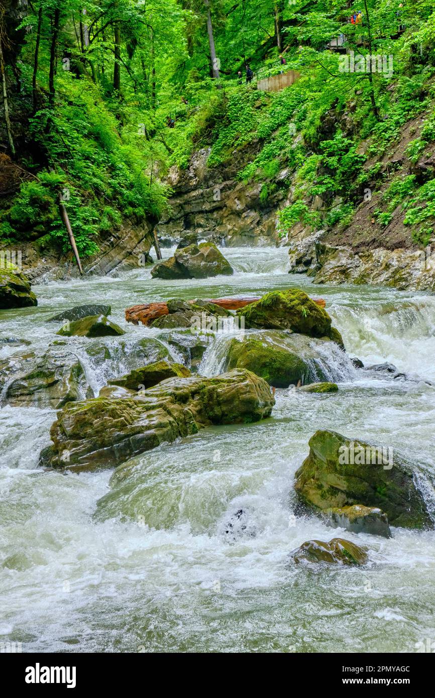 Breitach mountain stream and Breitach gorge, the Breitachklamm is a ...
