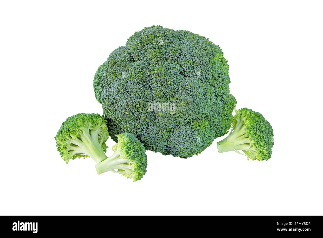 Broccoli or calabrese cabbage head and separate florets isolated on ...
