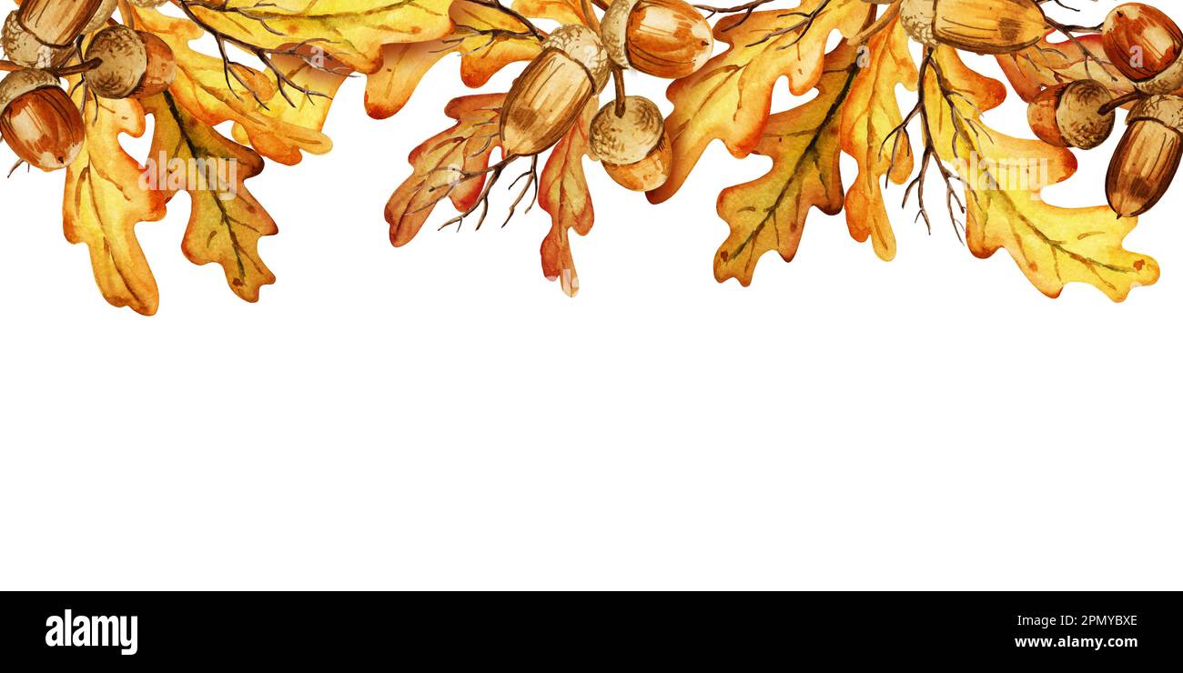 watercolor horizontal border with autumn oak leaves and acorns, hand drawn illustration of ...