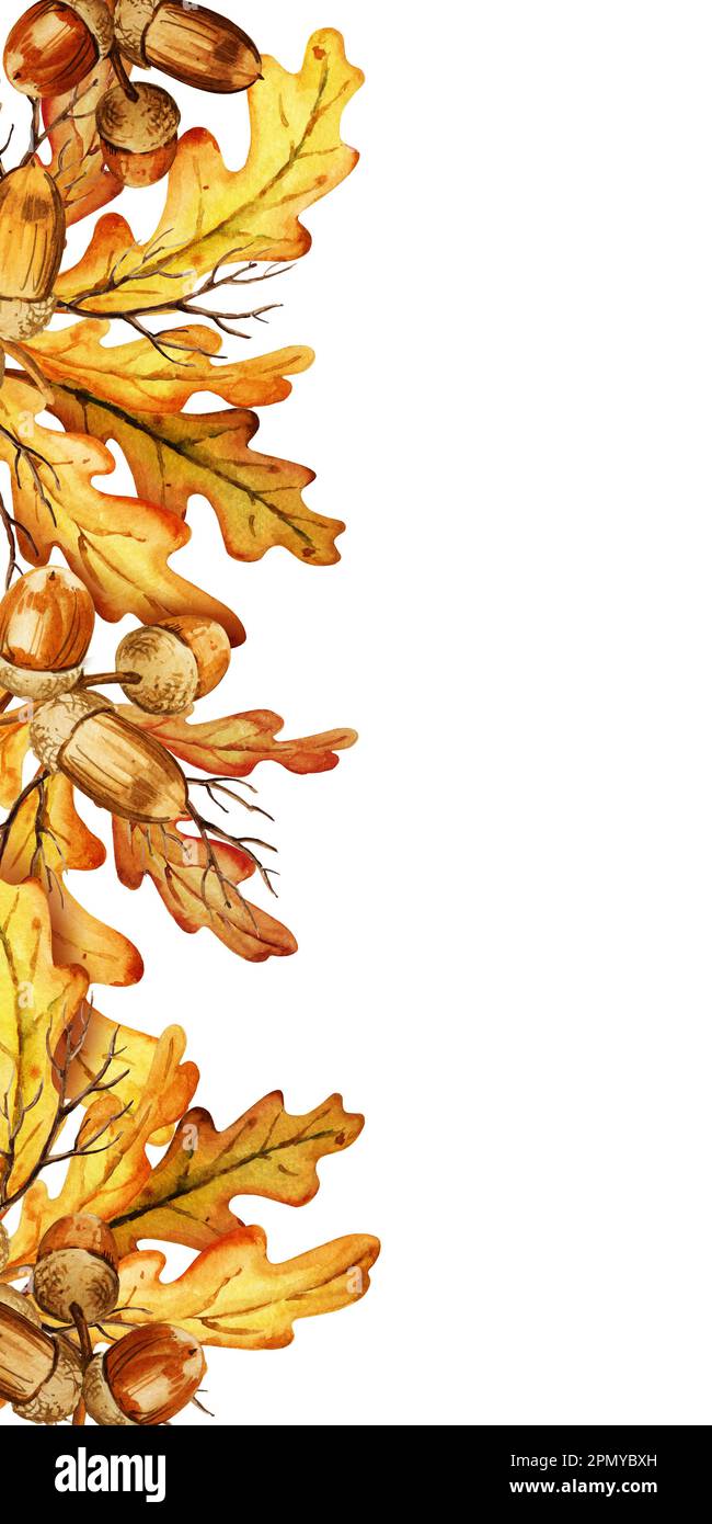 watercolor vertical border with autumn oak leaves and acorns, hand ...