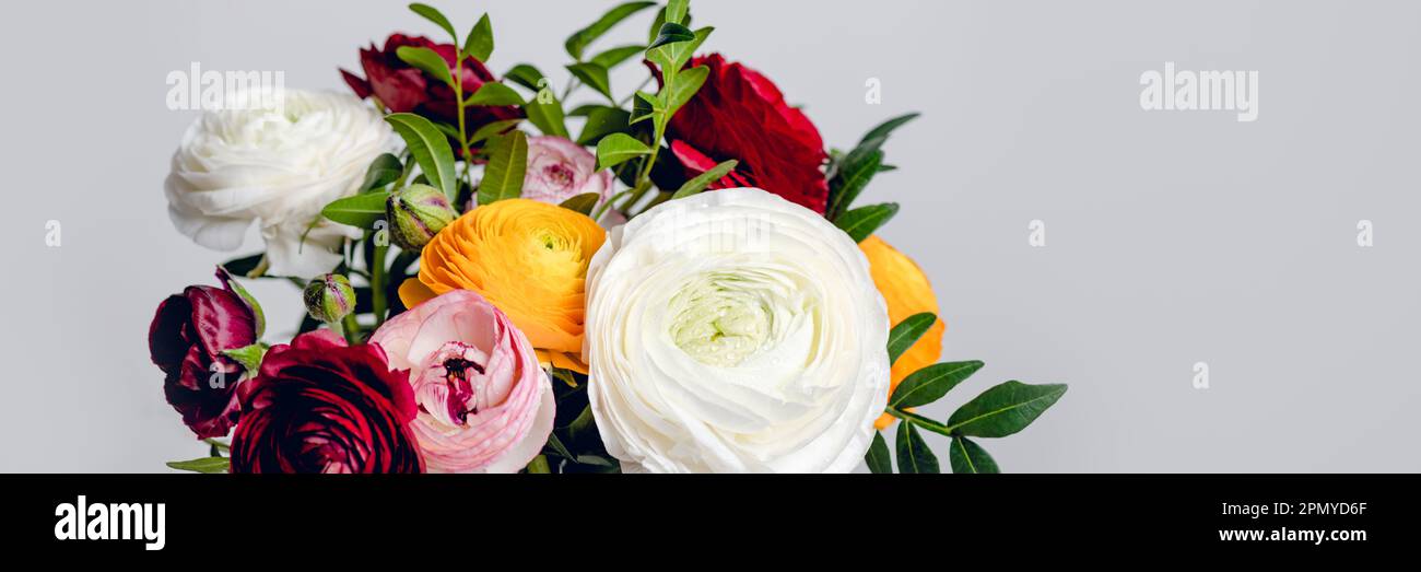 Floral arrangments of tender ranunculus flowers Stock Photo - Alamy