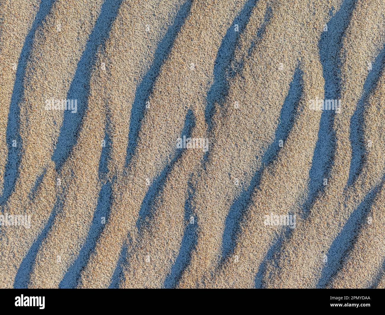 Natural wavy sand texture. Sandy beach pattern for background. Top view ...