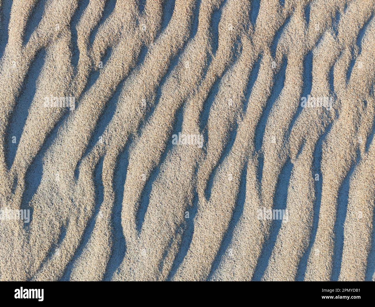Natural wavy sand texture. Sandy beach pattern for background. Top view ...