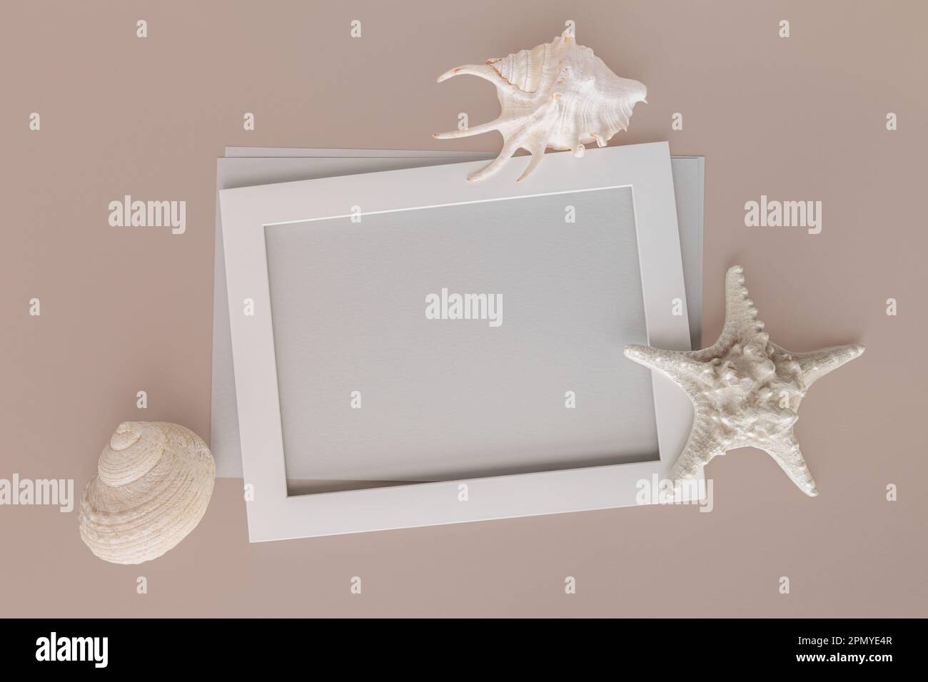 Blank greeting card, white empty frame, gray paper and three shells ...