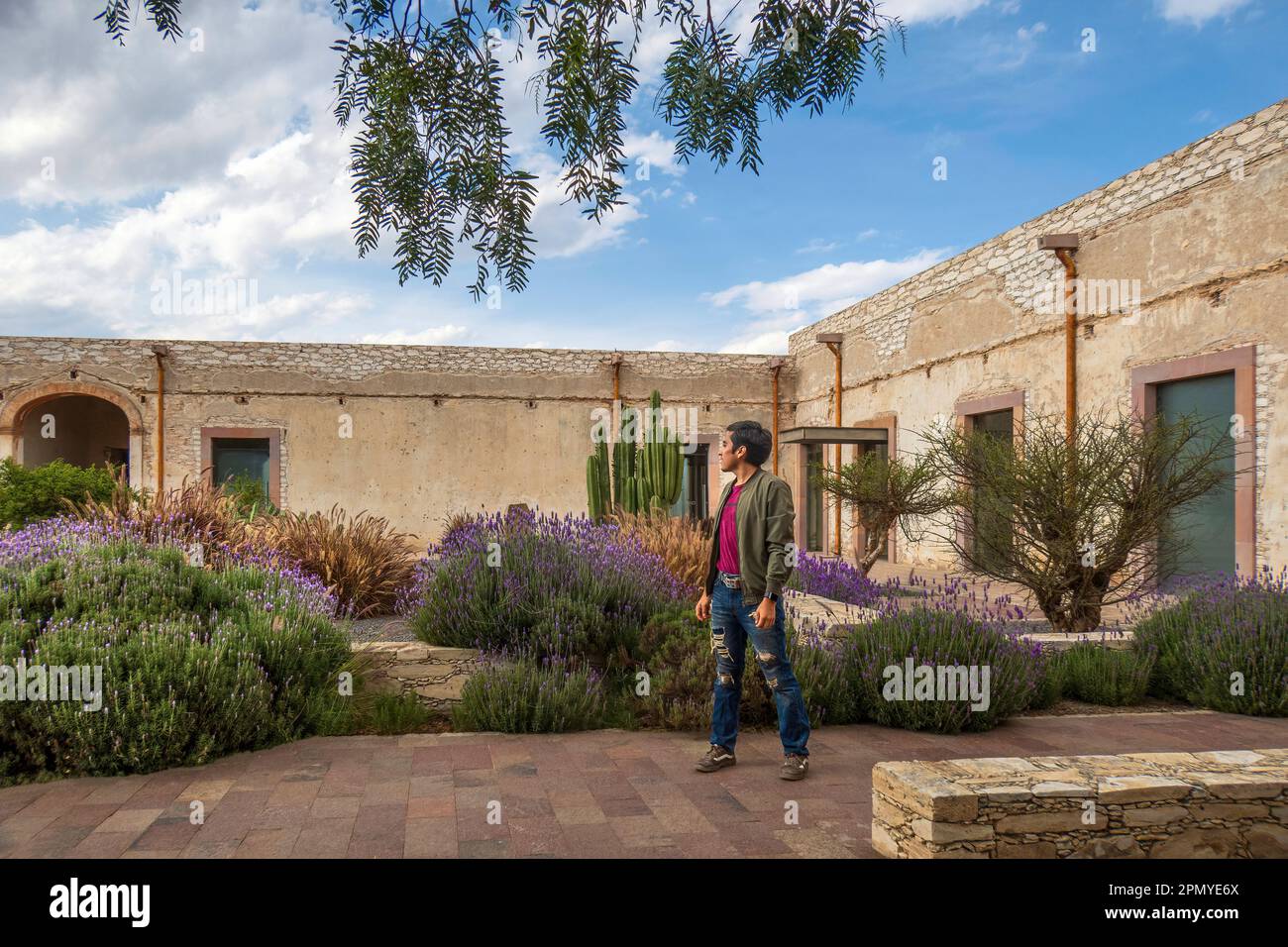 A Man visiting the old rustic model school with cactus in Mineral de ...