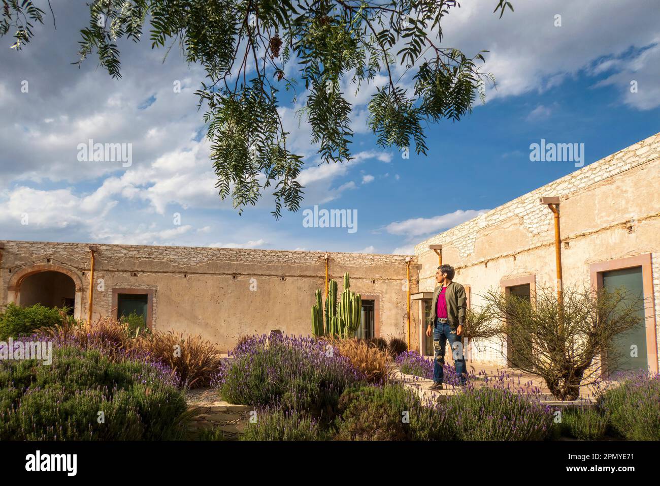 A Man visiting the old rustic model school with cactus in Mineral de ...