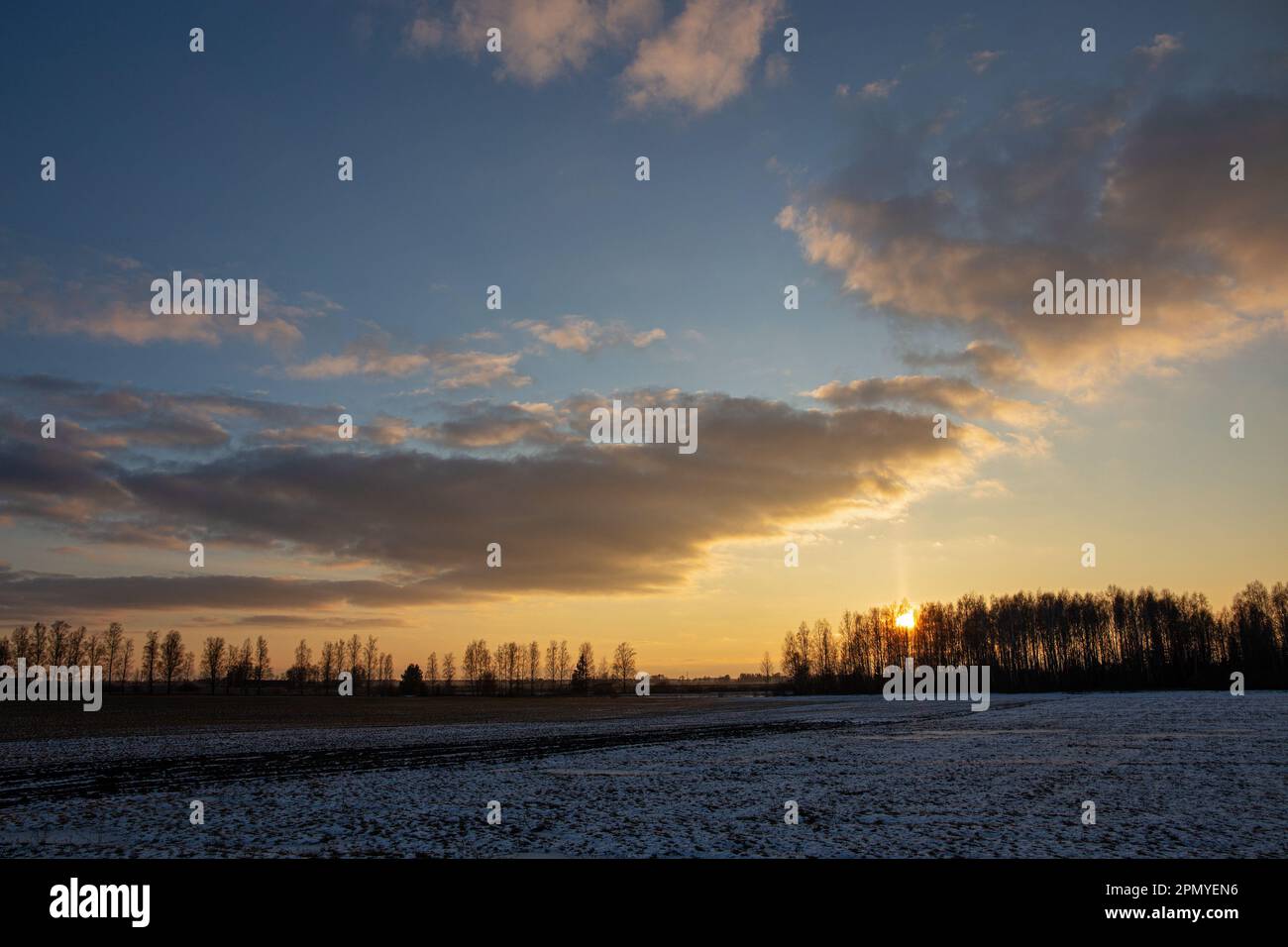 The evening slowly envelops the fields of Lithuania. Winter in Birzai ...