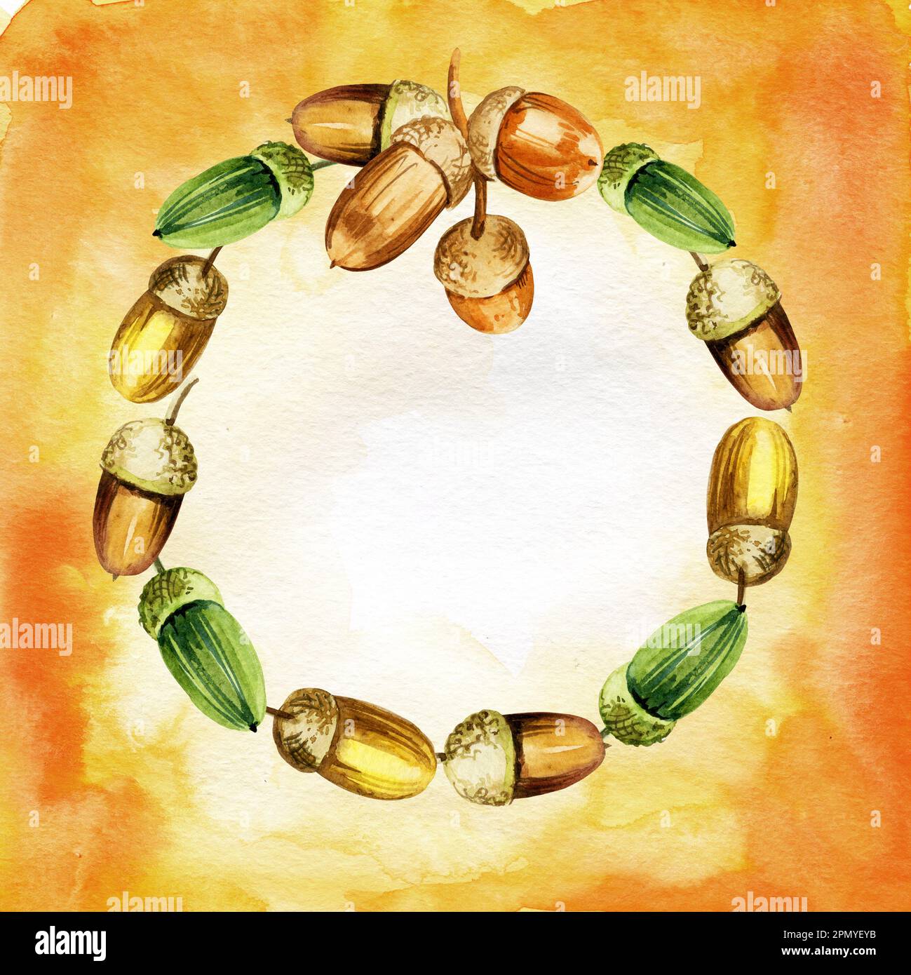 hand draw watercolor round composition with oak seeds, acorns, yellow ...