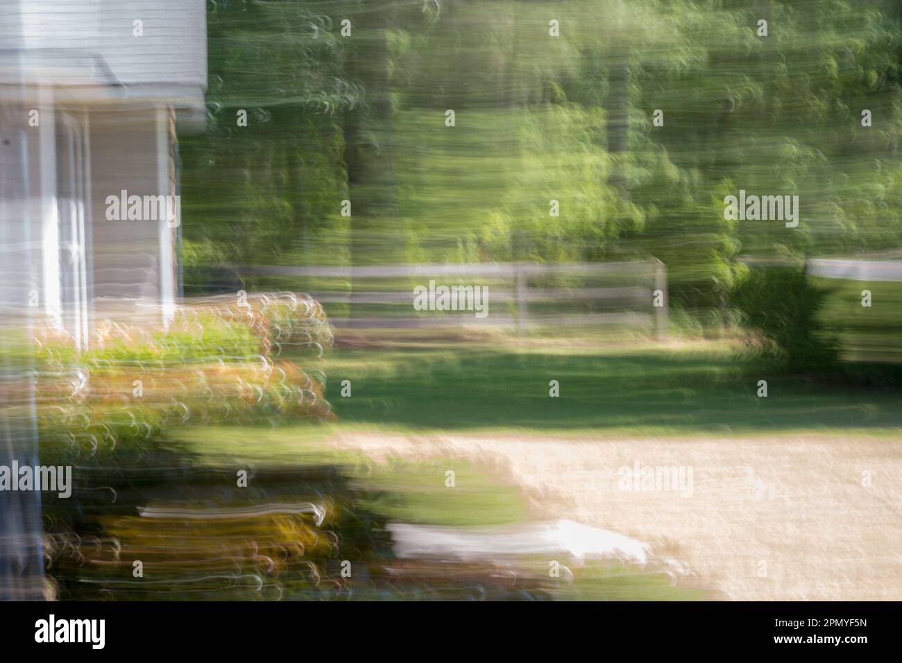 CM Photography, Intentional Camera Movement Photography, Blurring the ...