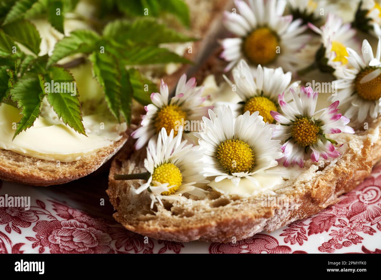 Common daisy and ground elder on slices of sourdough bread in spring ...