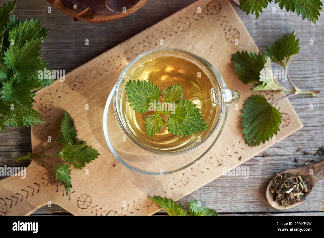 A cup of stinging nettle tea with fresh plant, top view Stock Photo - Alamy