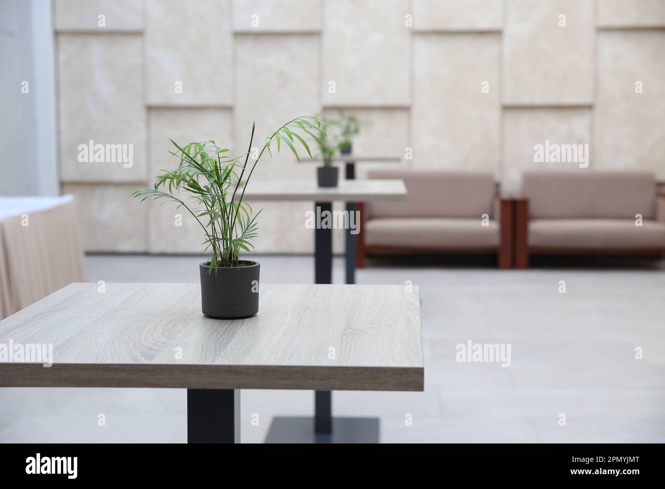 Empty modern hotel welcome lounge with high tables, sofas and indoor ...
