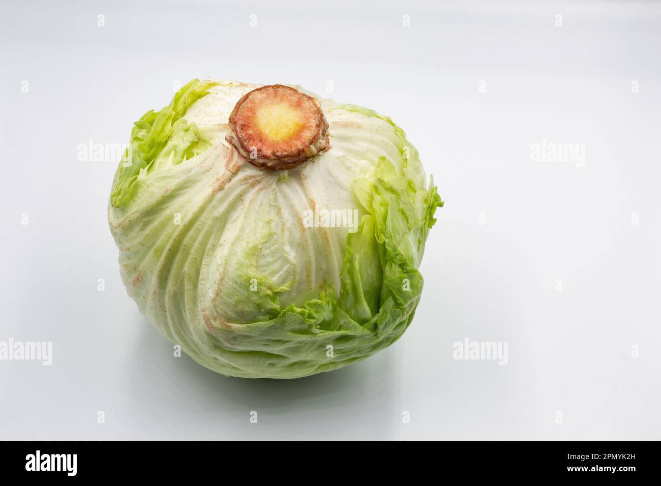 A head of iceberg lettuce closeup on white background Stock Photo - Alamy