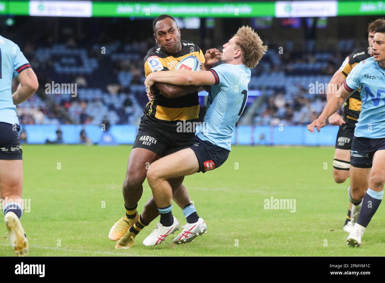 Sydney, Australia, 15 April, 2023. Manasa Mataele of Western Force is ...