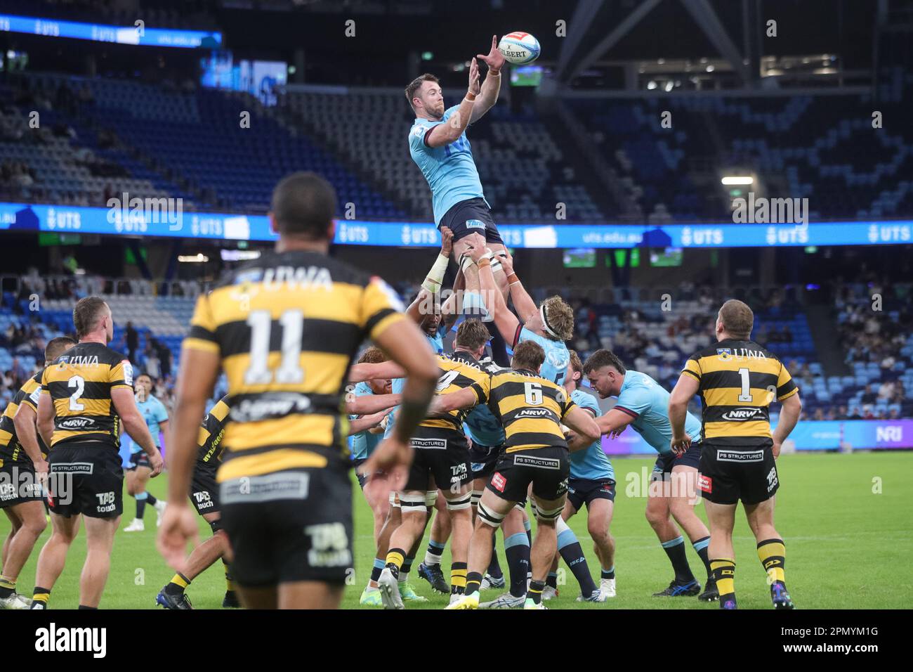 Sydney, Australia, 15 April, 2023. Jed Holloway of Waratahs catch a ...