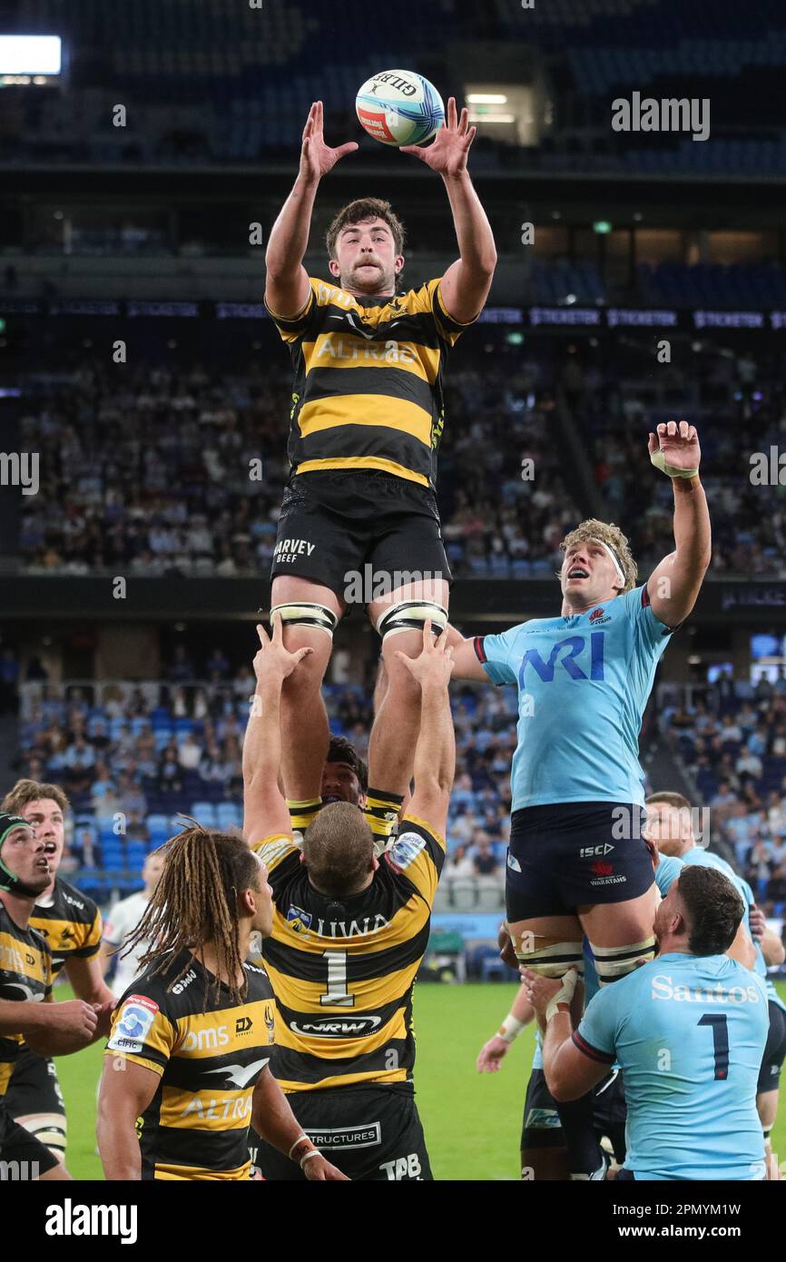 Sydney, Australia, 15 April, 2023. Jeremy Williams of Western Force ...