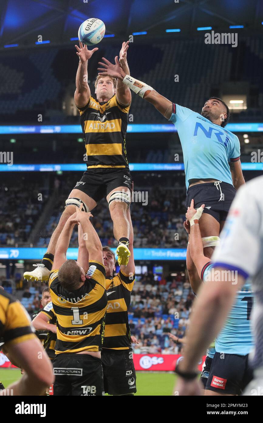 Sydney, Australia, 15 April, 2023. Taleni Seu of Waratahs Line out ...