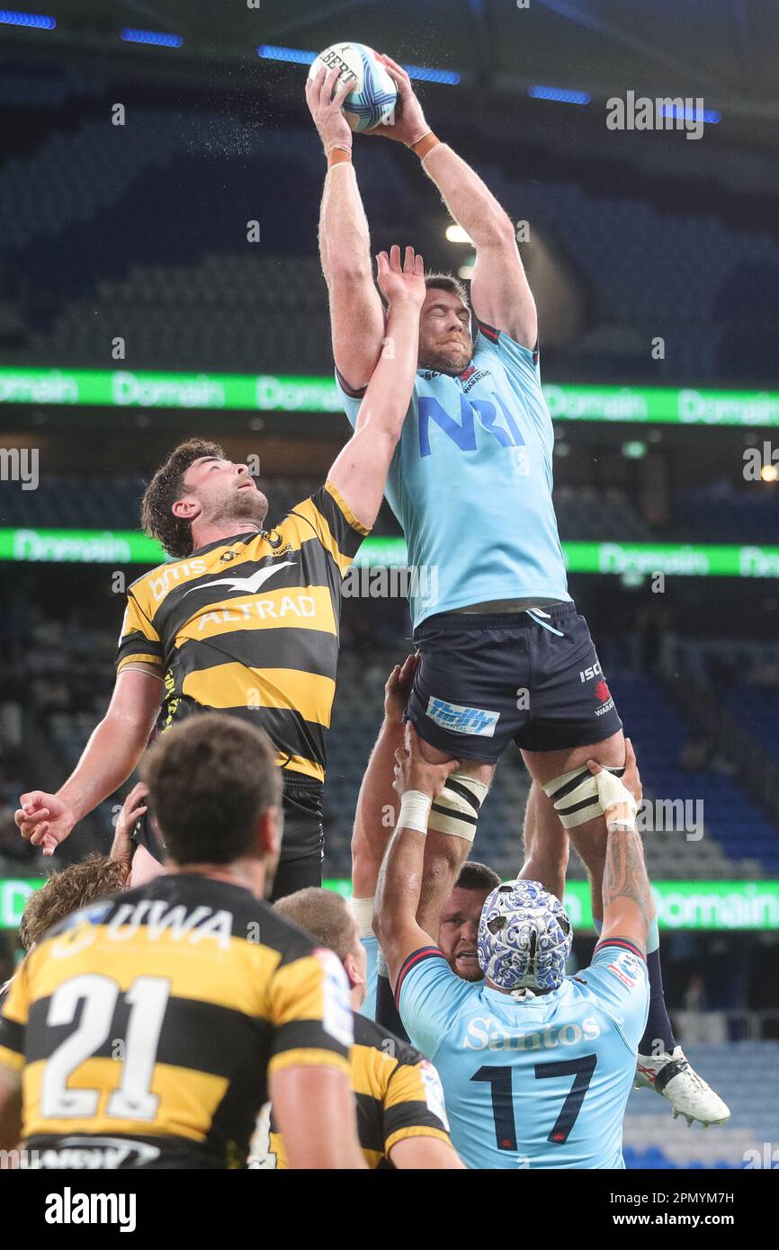 Sydney, Australia, 15 April, 2023. Jed Holloway of Waratahs jumps for a ...