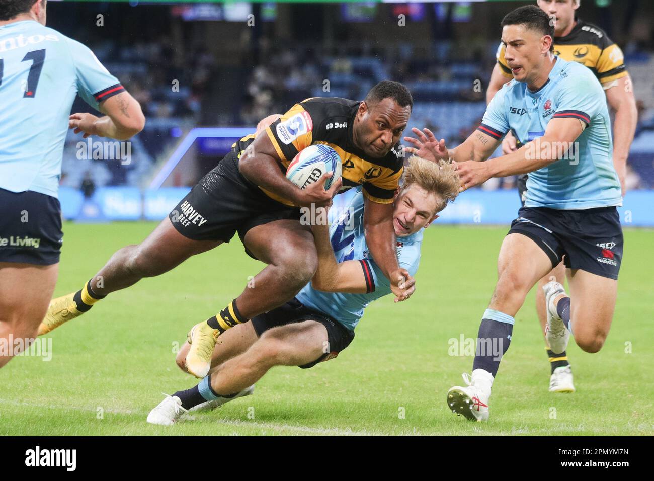 Sydney, Australia, 15 April, 2023. Manasa Mataele of Western Force is ...