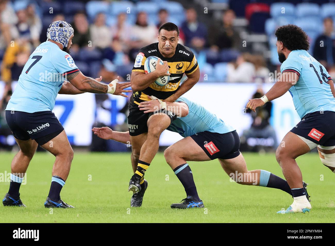 Sydney, Australia, 15 April, 2023. Chase Tiatia of Western Force runs ...