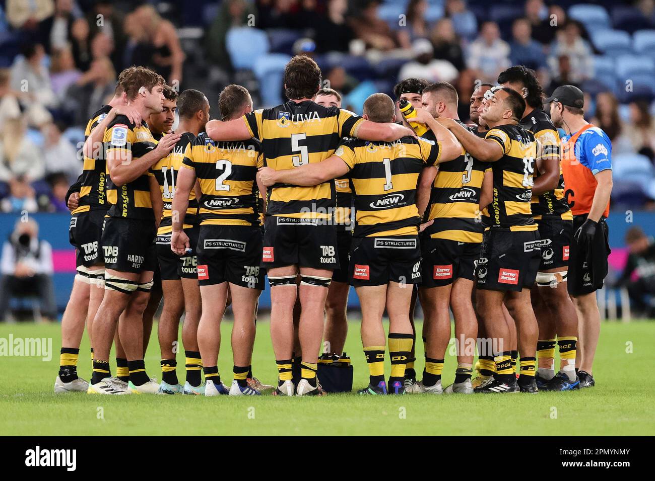 SYDNEY, AUSTRALIA - APRIL 15: Western Force players in a huddle during ...