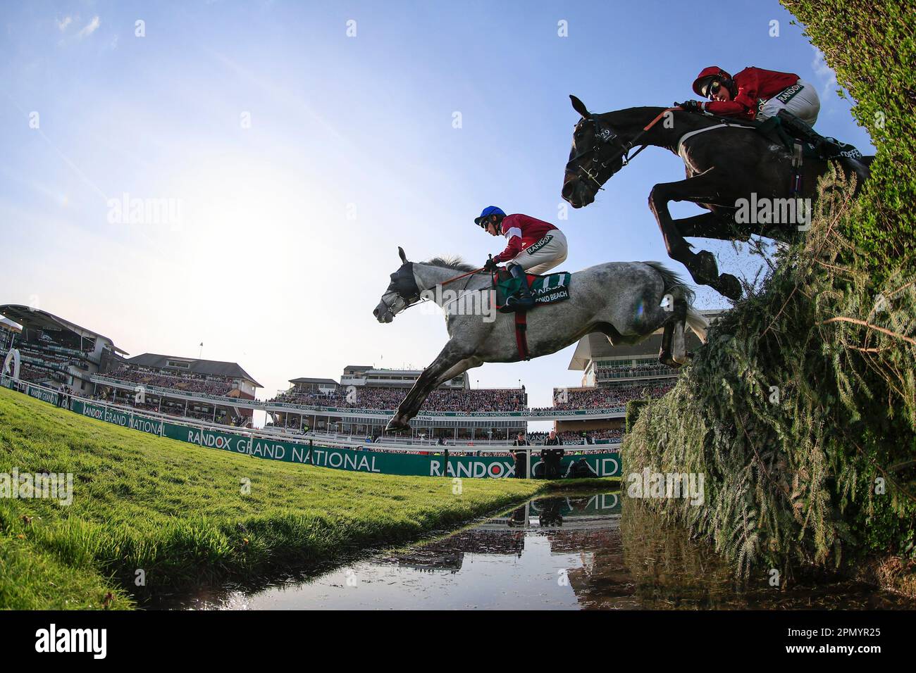 Coko beach horse hi-res stock photography and images - Alamy