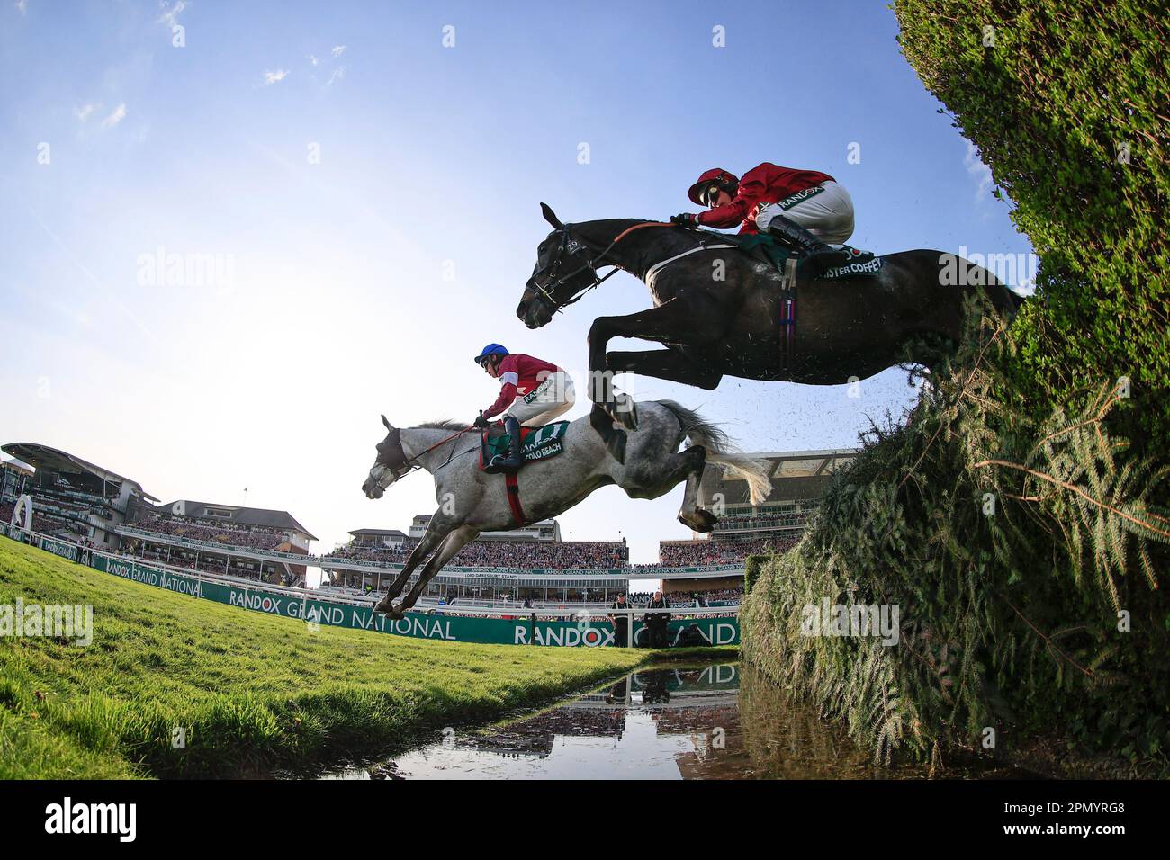 Coko beach horse hi-res stock photography and images - Alamy