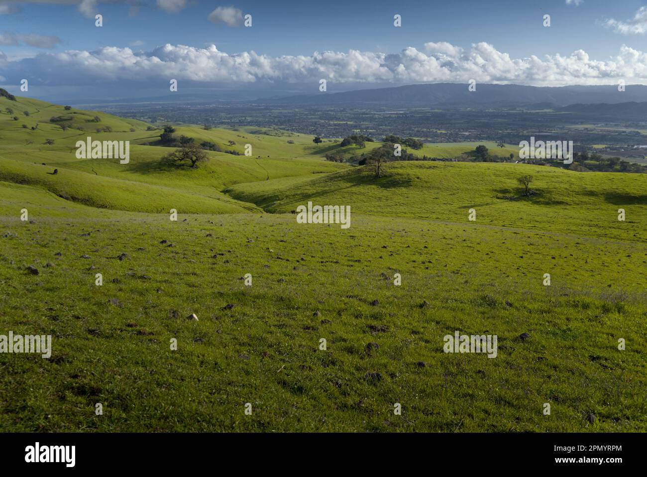 Beautiful rolling hills trees hi-res stock photography and images - Alamy