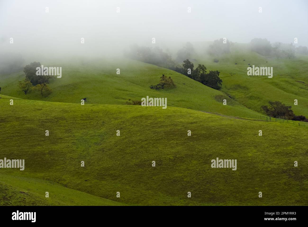 Green grass rolling hills in hi-res stock photography and images - Alamy