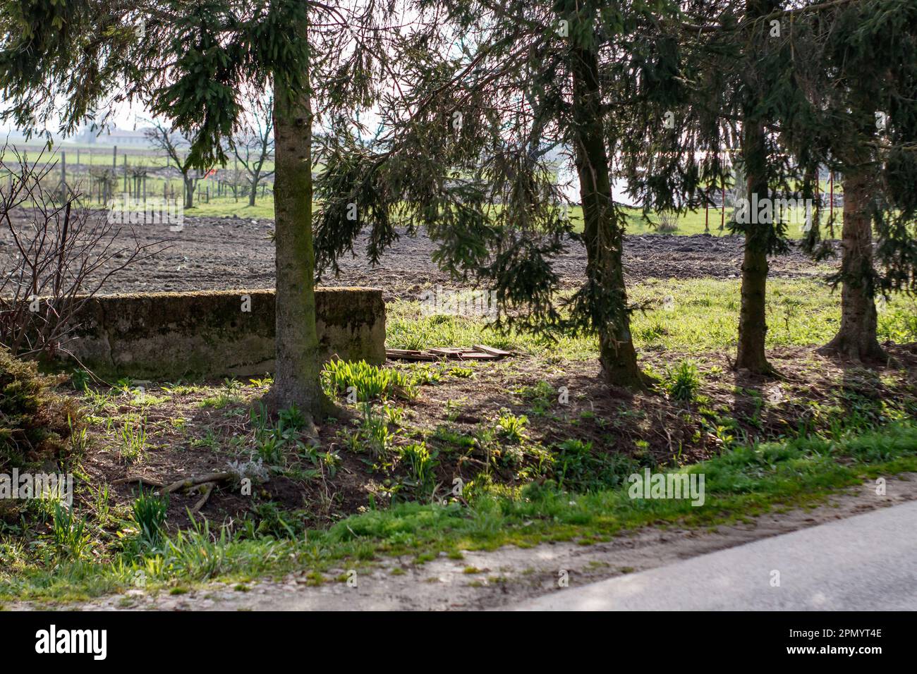 fields in a rural neighborhood in spring Stock Photo - Alamy