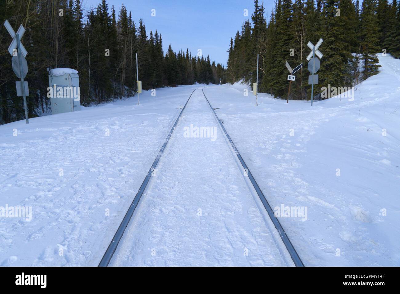 Train track in the snow covered the ground Stock Photo - Alamy