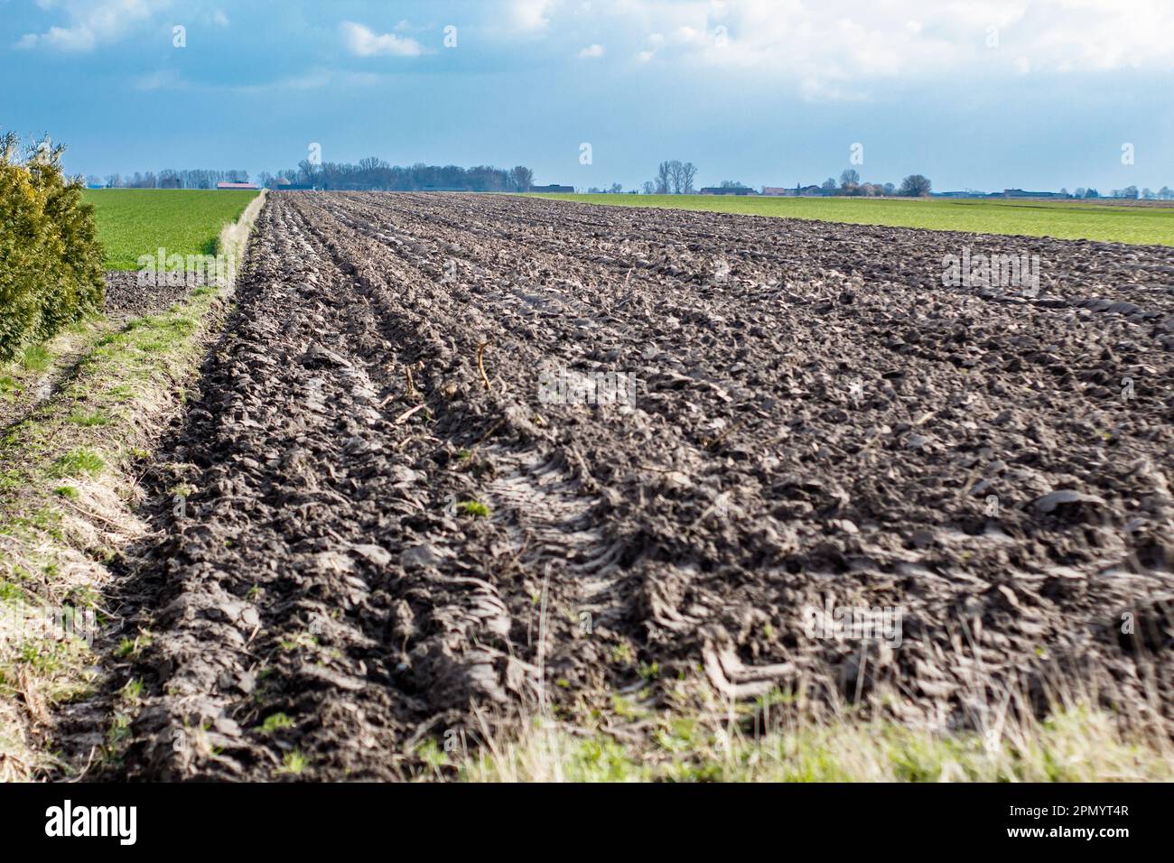 fields in a rural neighborhood in spring Stock Photo - Alamy