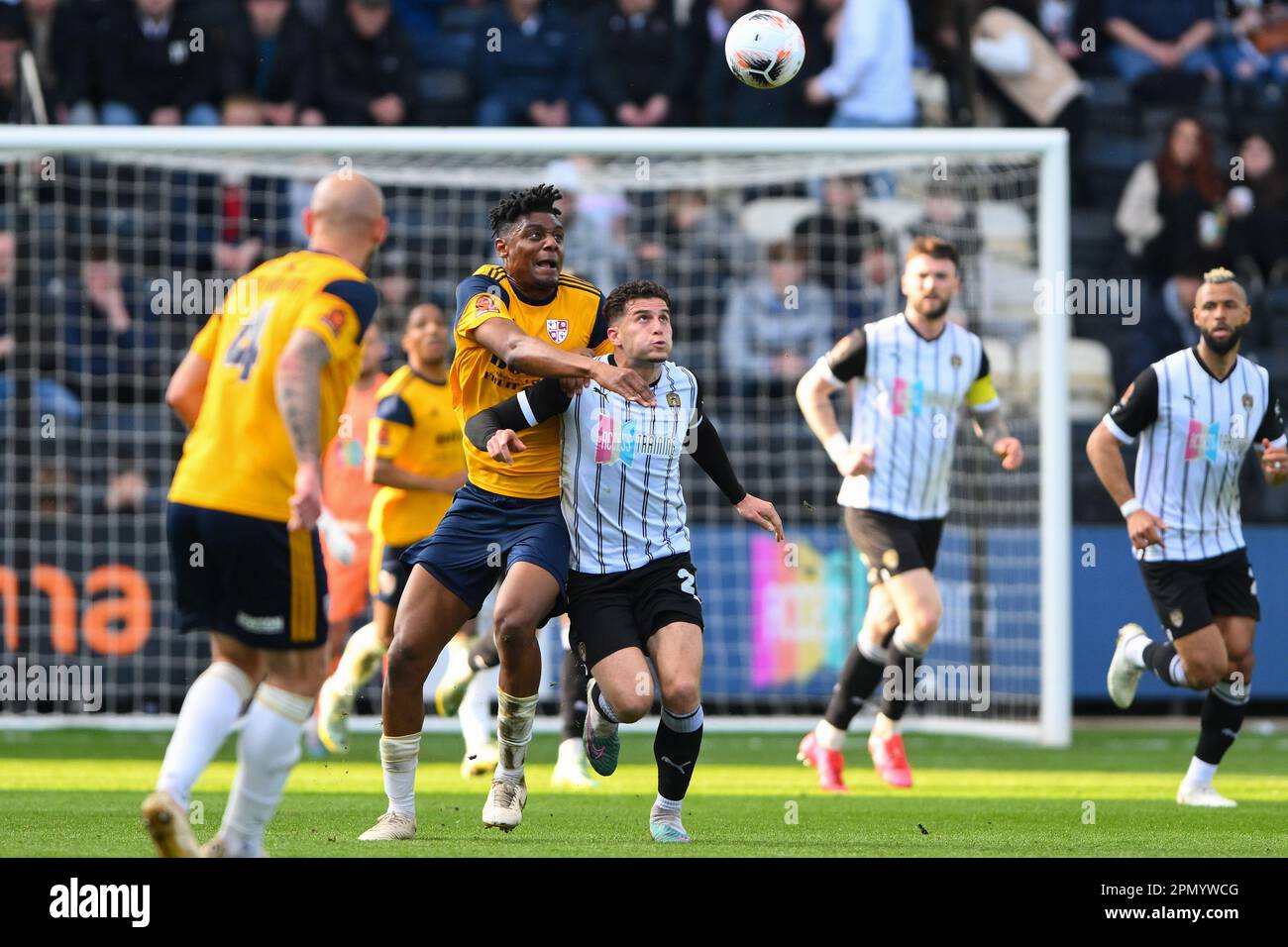 Rohan ince hi-res stock photography and images - Alamy