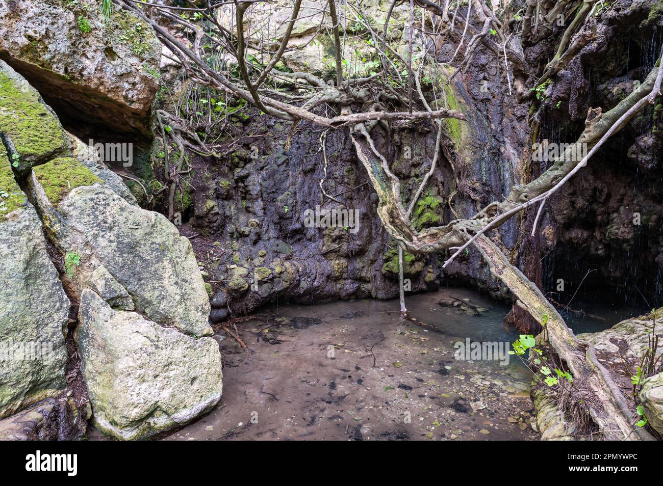 A pool of water in the rocks, known as the Baths of Aphrodite, Latsi ...
