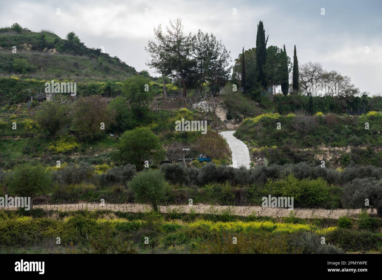 Cyprus vineyard hi-res stock photography and images - Alamy