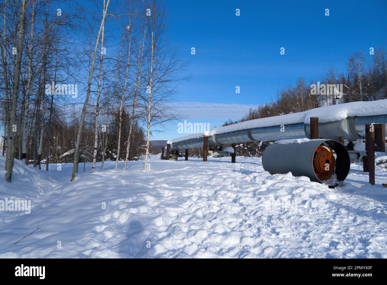 Alaska pipelines in the snow covered field with trees on both side ...
