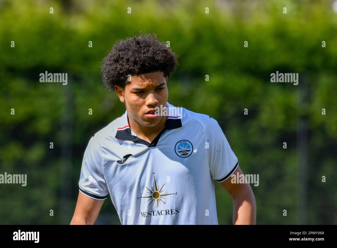 Football soccer swansea hi-res stock photography and images - Alamy