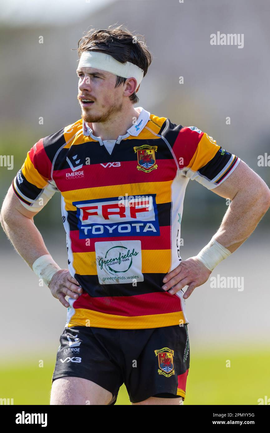 15th April 2023; Carmarthen Park, Carmarthen, Wales: Indigo Premiership ...