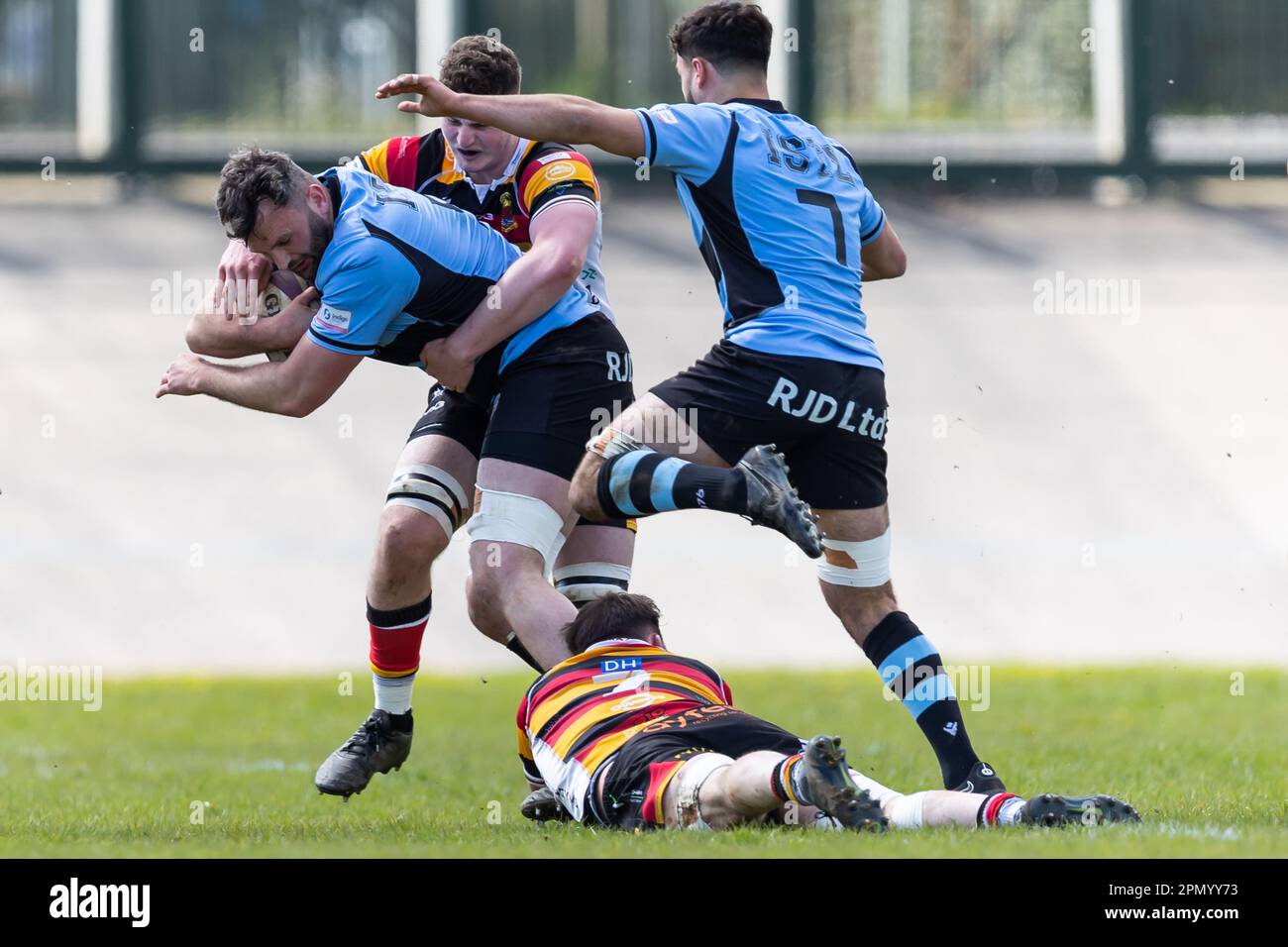 Morgan allen hi-res stock photography and images - Alamy