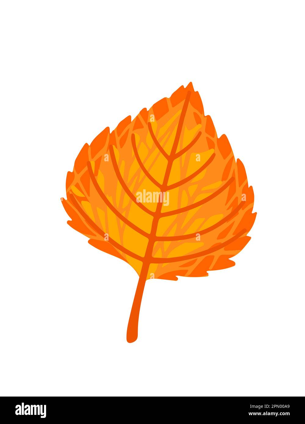 Autumn orange leaf vector illustration isolated on white background ...