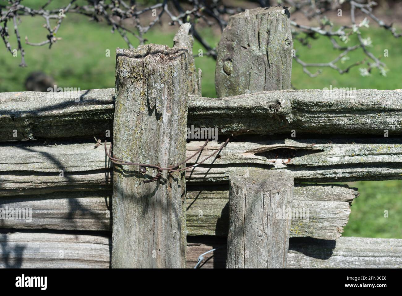 detail of an old split-rail wood fence in spring Stock Photo - Alamy